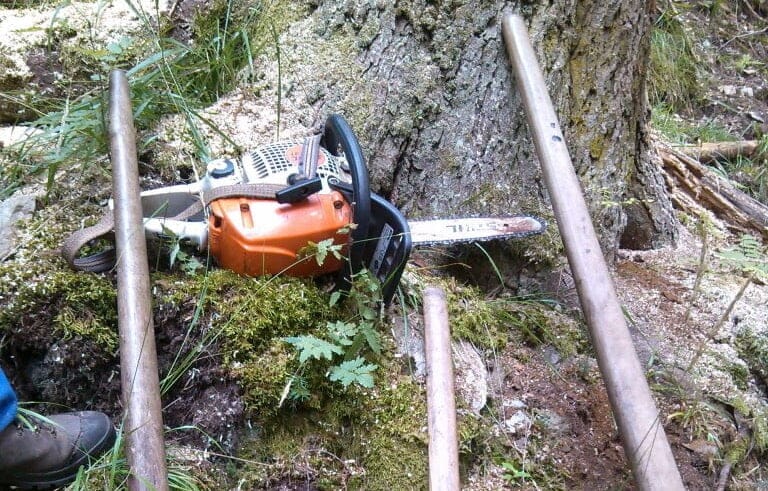 Un lucrător forestier a murit la Mănăstirea Humorului în timp ce tăia ...