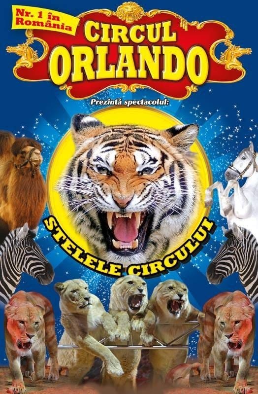 Cel mai renumit circ privat din România poposește în parcarea Shopping ...