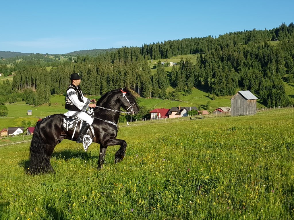 Pasiune din copilărie, transformată în afacere. Un sucevean atrage la ...