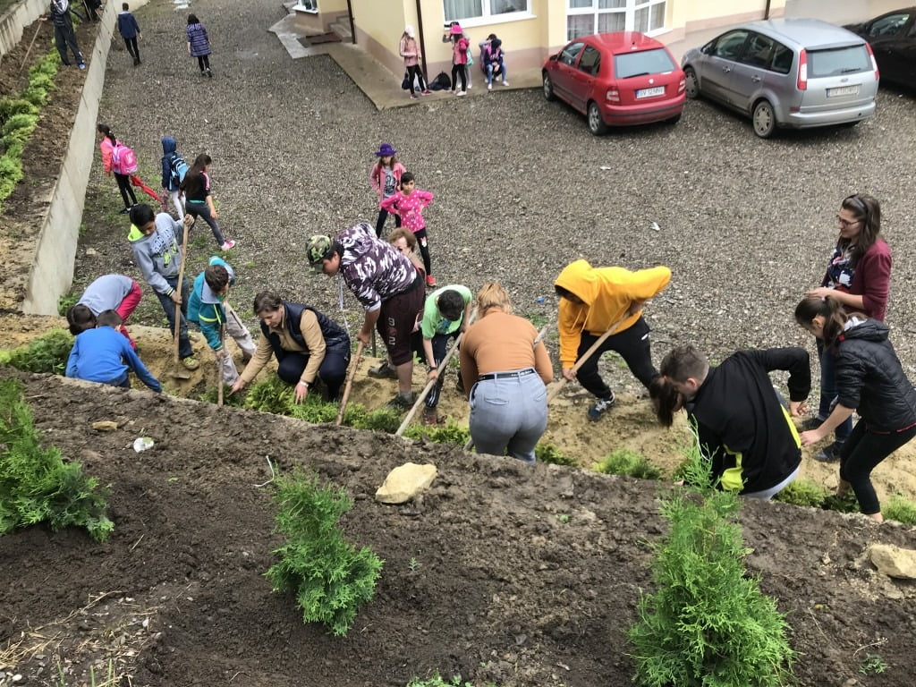 O nouă acțiune de plantare de copaci la Școala Basarabi din comuna ...