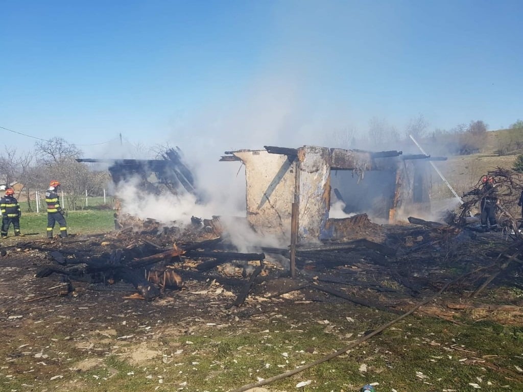Incendiu Slatina / Incendiu de vegetație uscată și păpuriș, pe o insulă ...