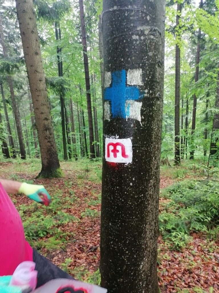 CJ Suceava a început marcarea traseului drumului de pelerinaj „Via ...