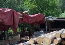 Stiri, noutati si evenimente din Bucovina, toate intr-un singur loc!