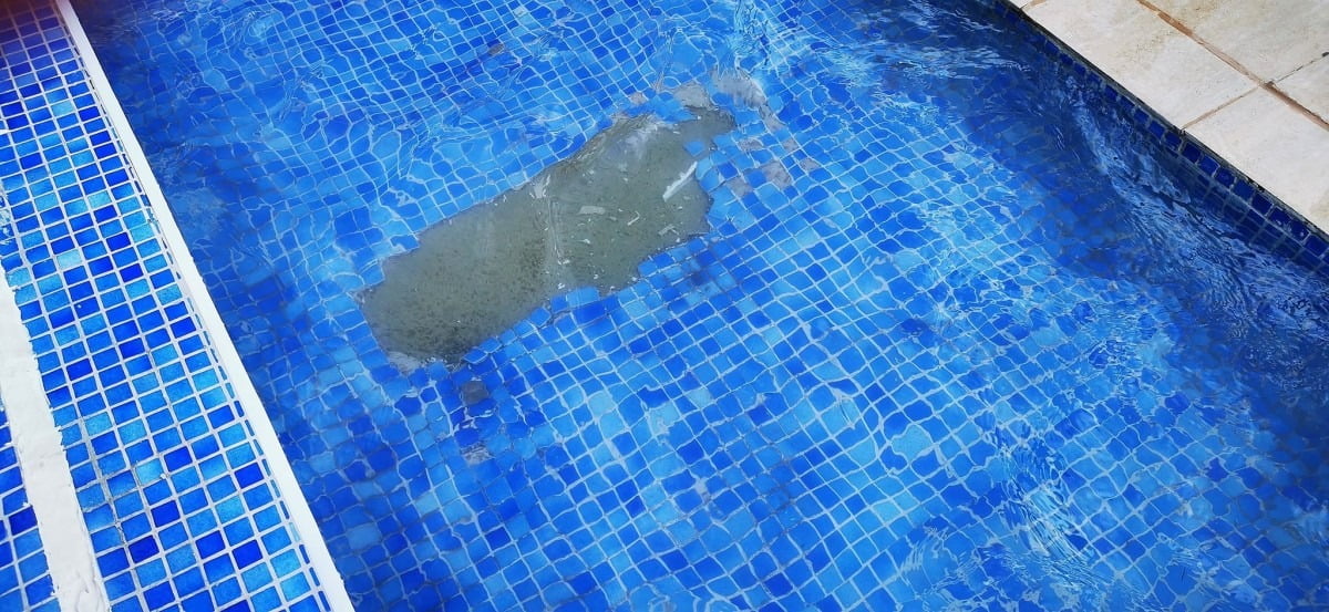 Ion Lungu are o explicație pentru deteriorările dintr-un bazin al ...