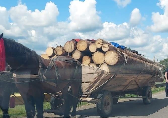 VIDEO//Activistul de mediu Daniel Bodnar: Noua metodă de transport ...