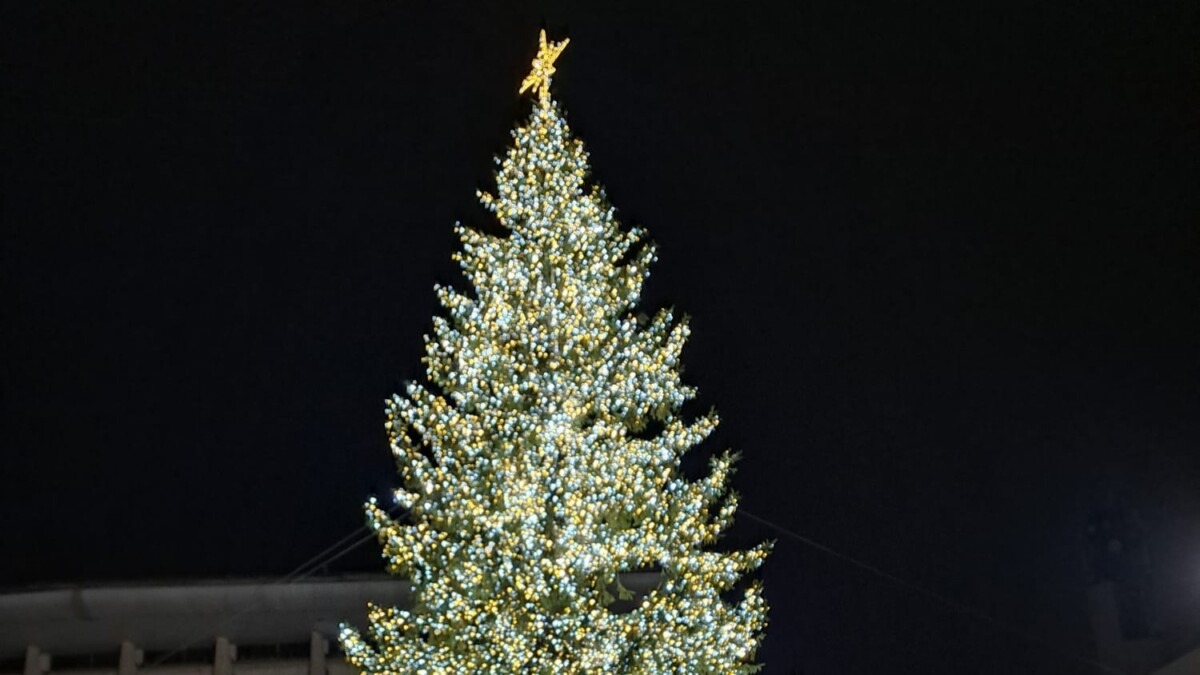 Suceava intră în magia Crăciunului: În acest an fiecare categorie de ...